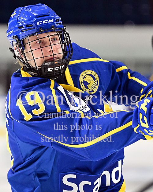 LW Hugo Pettersson - HV71, J20 Nationell | HFBoards - NHL Message Board ...