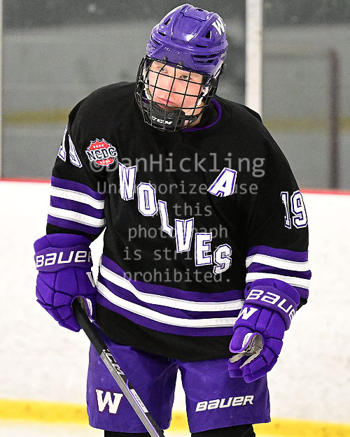 Connor Stokes - Stats, Contract, Salary & More