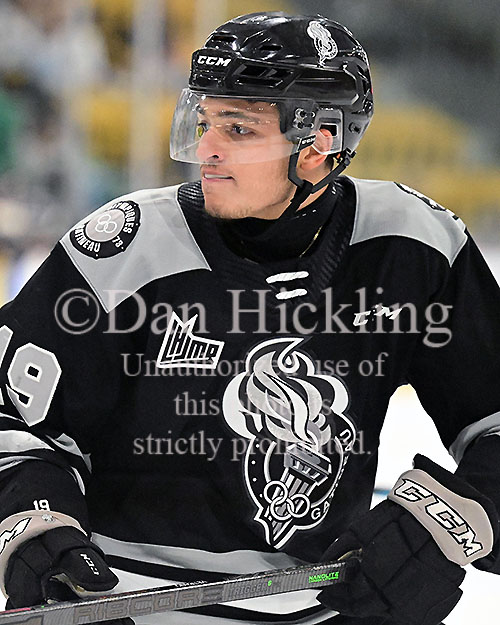 Joey Vetrano - Stats, Contract, Salary & More