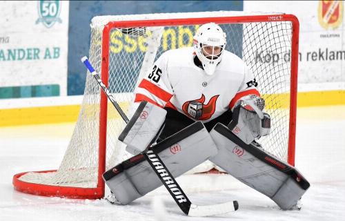 Daniel Fahlström - Elite Prospects