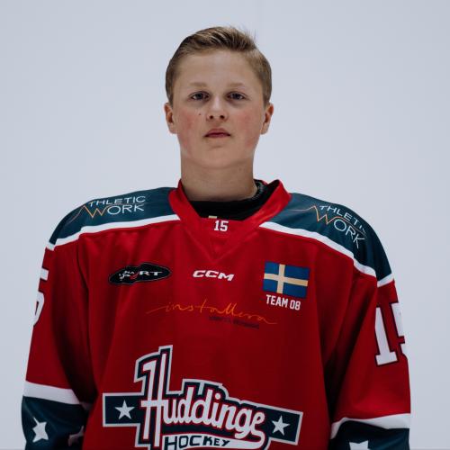 Lucas Törngren - Stats, Contract, Salary & More