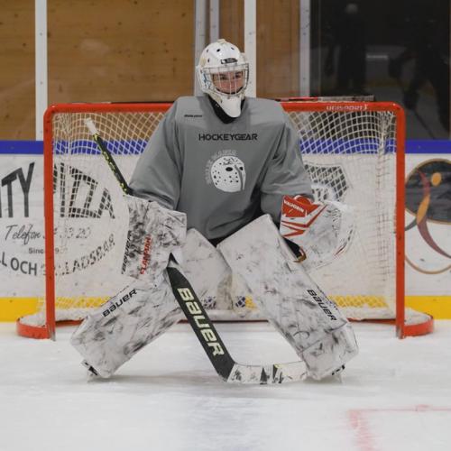 Elliot Östman - Stats, Contract, Salary & More