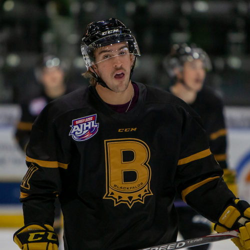 Bill Gourgon - Stats & Facts - Elite Prospects