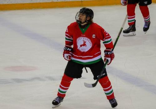 Alex Horváth - Elite Prospects