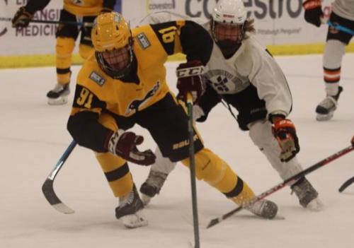 Kent Greer - Elite Prospects