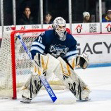 Rastislav Elias - Elite Prospects