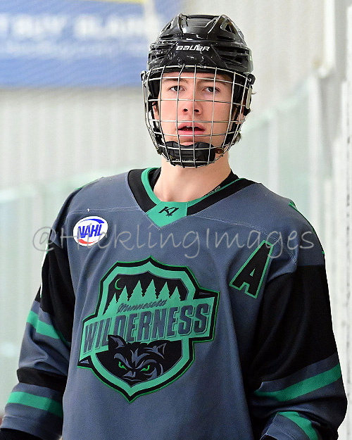 Reid Conn - Stats & Facts - Elite Prospects