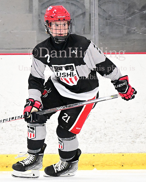 Max Gerke - Elite Prospects