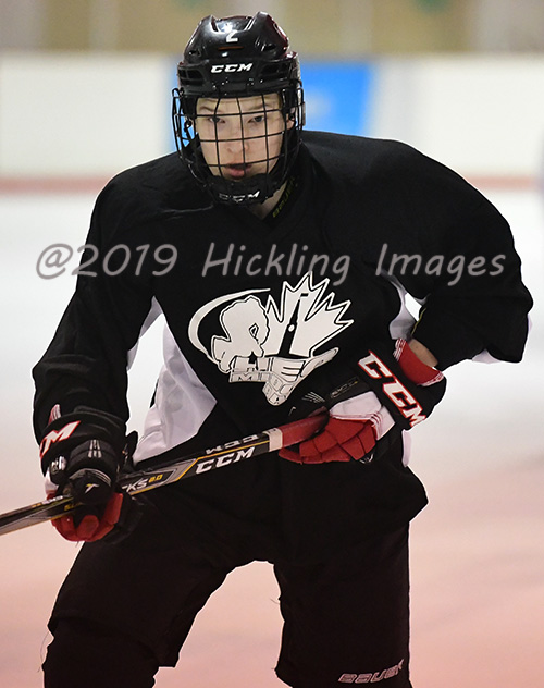 Evan Mitchell - Elite Prospects