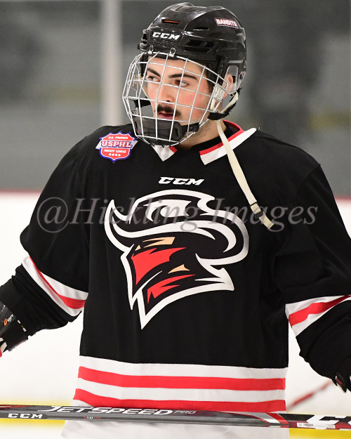 Noah-David Dayan - Elite Prospects