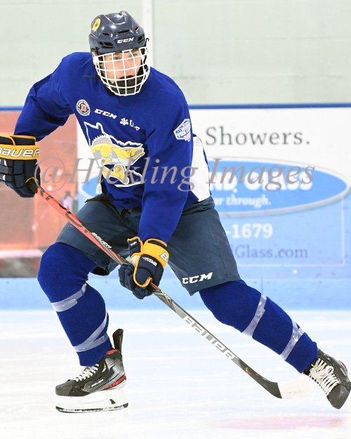 Justin Lesser - Elite Prospects
