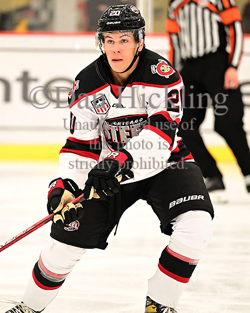 Charlie Major - Elite Prospects