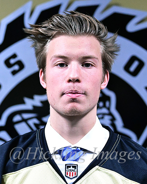 Timofei Spitserov - Elite Prospects