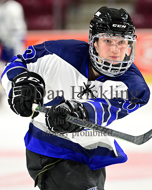 Kenzie Wagner - Stats, Contract, Salary & More