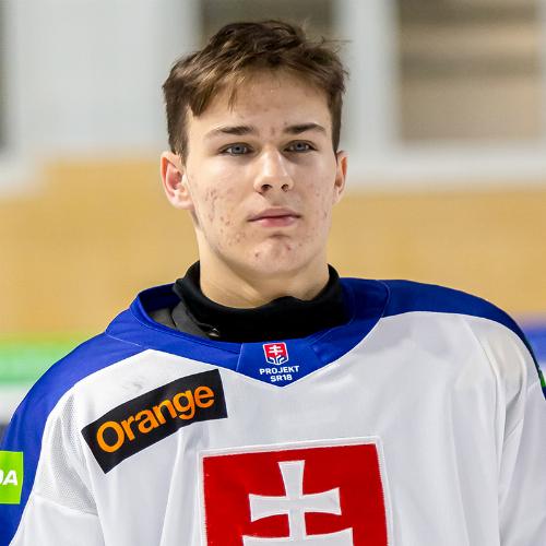 Alex Sotek - Elite Prospects