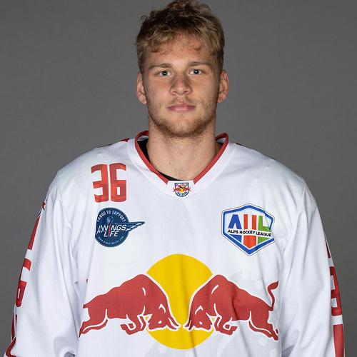 Dustin Reich - Stats, Contract, Salary & More