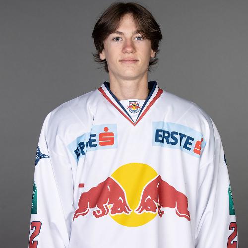 Raphael Riepl - Stats, Contract, Salary & More