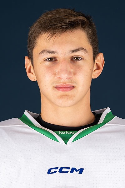 Leon Krammer - Stats & Facts - Elite Prospects