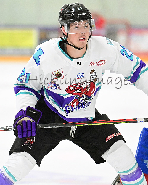 Austin Brimmer - Stats, Contract, Salary & More