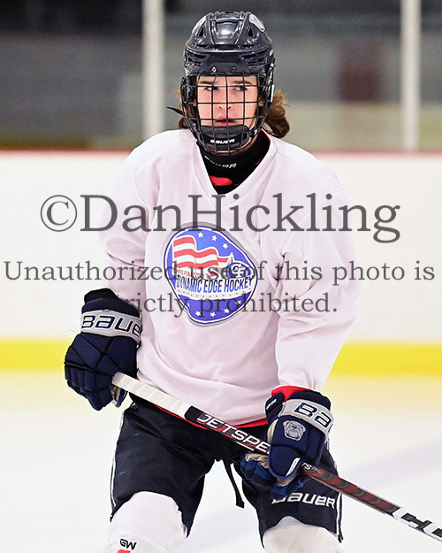 Gavin Cox - Elite Prospects