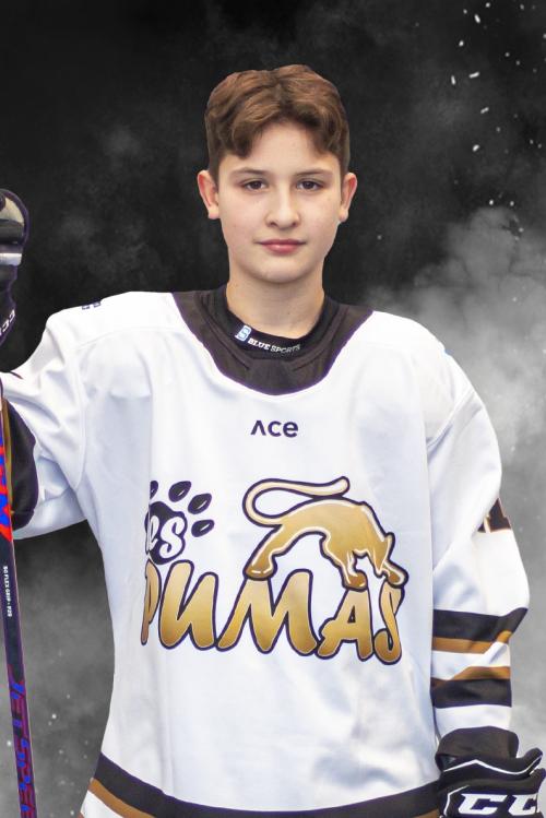 Anthony Proulx - Elite Prospects