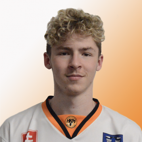 Roman Novak - Elite Prospects