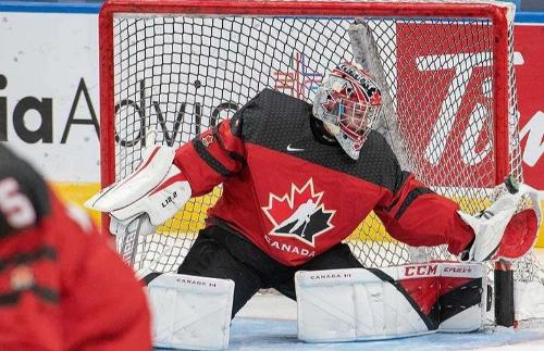 Devon Levi - Elite Prospects