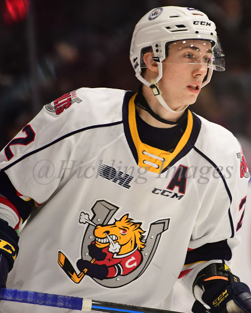 Luke Bignell - Elite Prospects