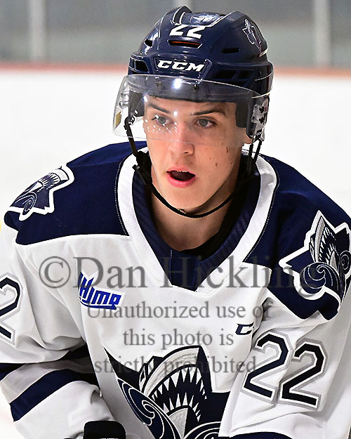 Alexandre Blais - Stats & Facts - Elite Prospects