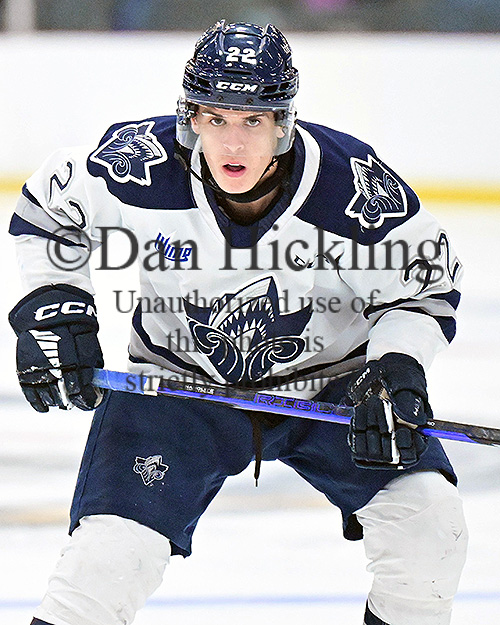 Alexandre Blais - Stats & Facts - Elite Prospects