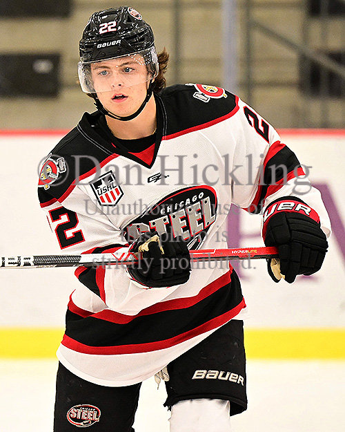 Official Arizona State Sun Devils Hockey Discussion | Page 11 ...