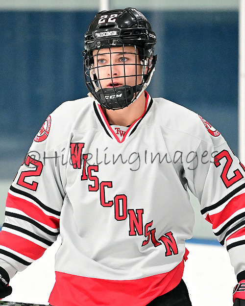 Luke Lindsay - Elite Prospects