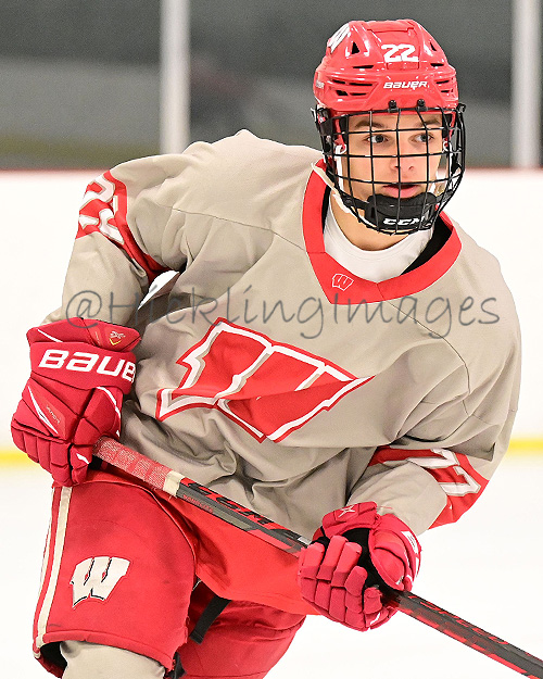 Tyler Morris - Elite Prospects