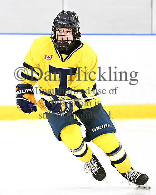 Lucas Novak - Stats, Contract, Salary & More