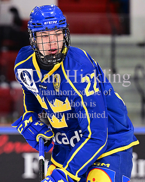 Anton Wahlberg - Elite Prospects