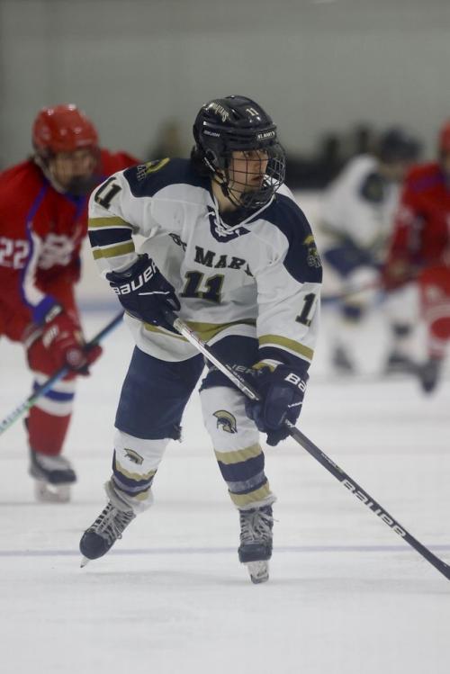 Jack Hall - Elite Prospects