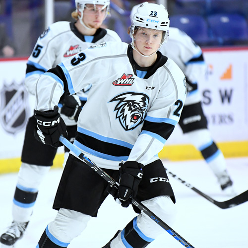 Connor Dale - Stats, Contract, Salary & More