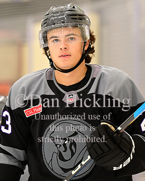 Andrew Centrella - Elite Prospects