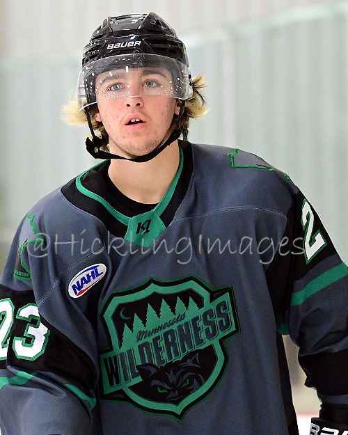 Michael Felsing - Elite Prospects