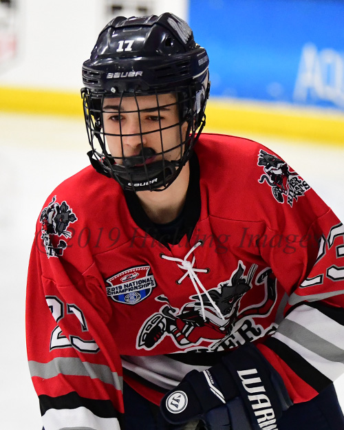 Will Friedman - Elite Prospects