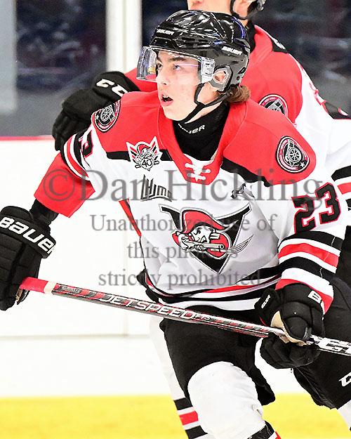 Nathan Lévesque - Elite Prospects