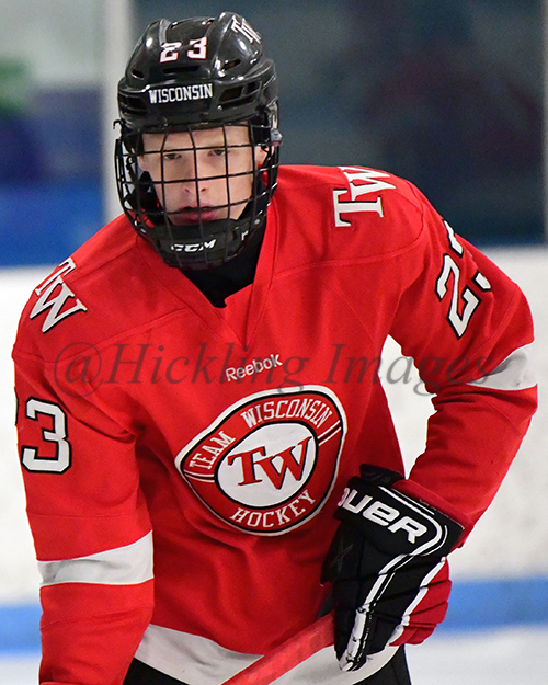 Max McNeil - Elite Prospects