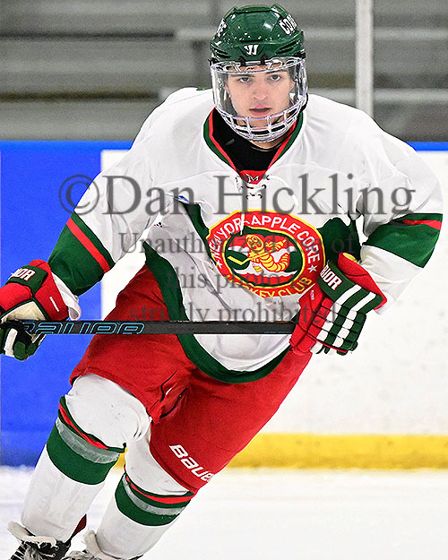 Anthony Vernillo - Stats, Contract, Salary & More