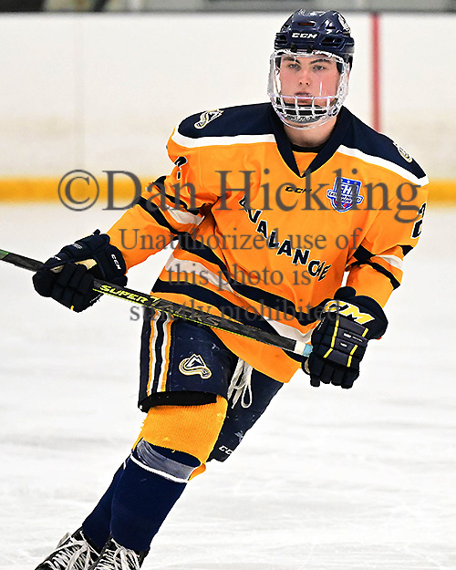 John D'Errico - Stats & Facts - Elite Prospects