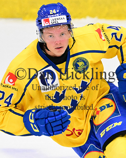 Linus Hemström - Stats, Contract, Salary & More