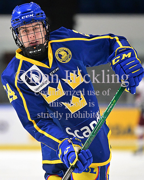 Simon Zether - Elite Prospects