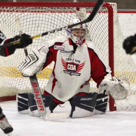 Max Alford - Stats & Facts - Elite Prospects