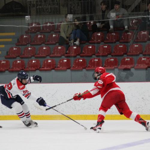 Cory Logan - Stats, Contract, Salary & More