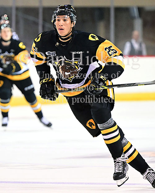 Brenden Anderson - Stats & Facts - Elite Prospects