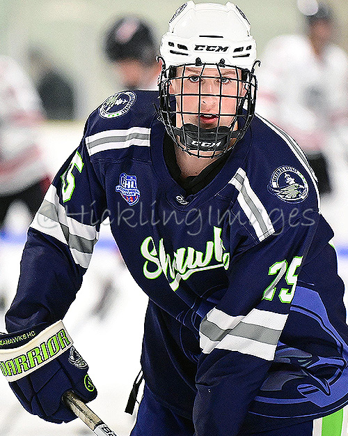 Brendan Campbell - Elite Prospects